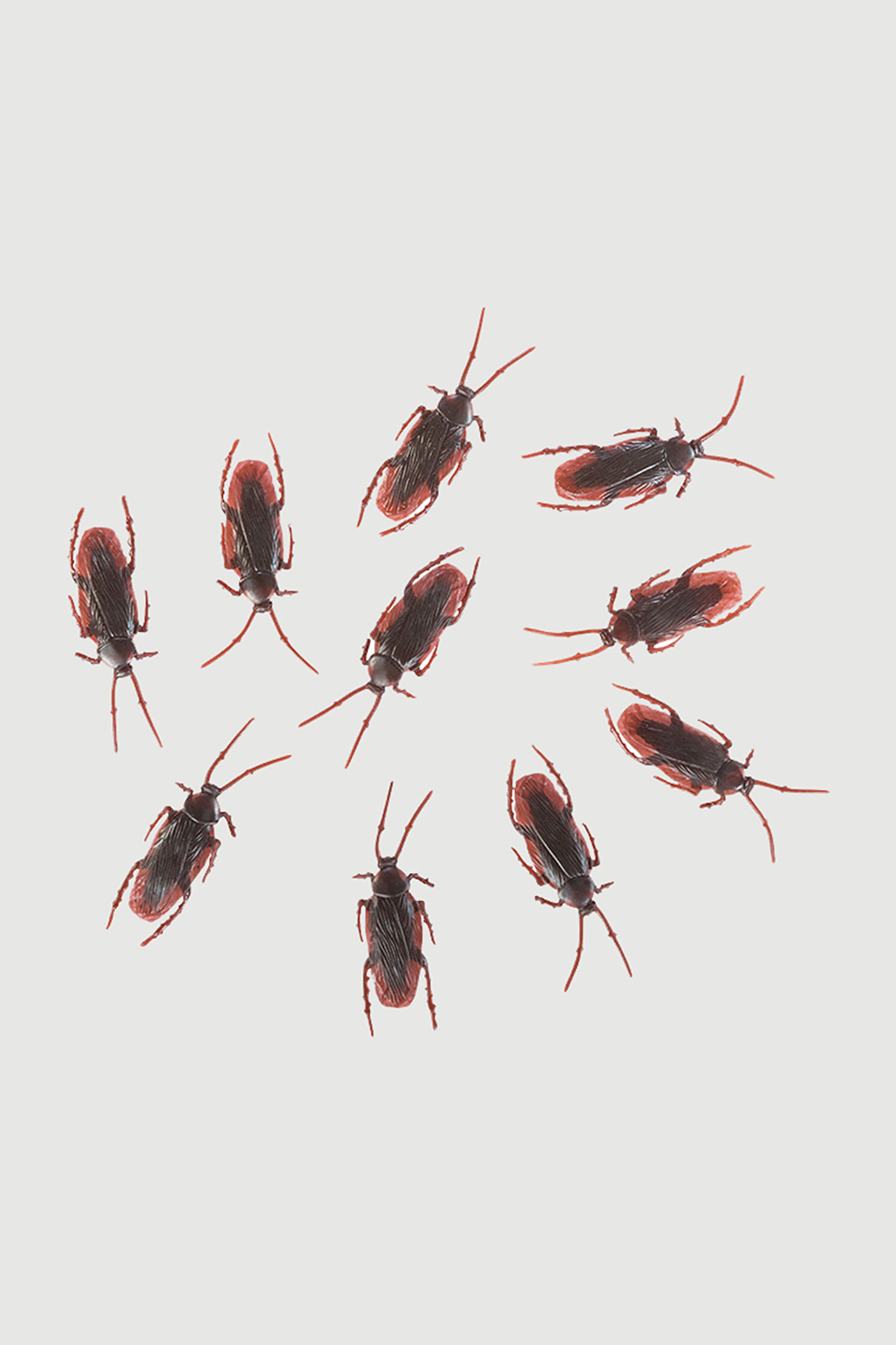 Carnıval Toys 10 Cockroaches