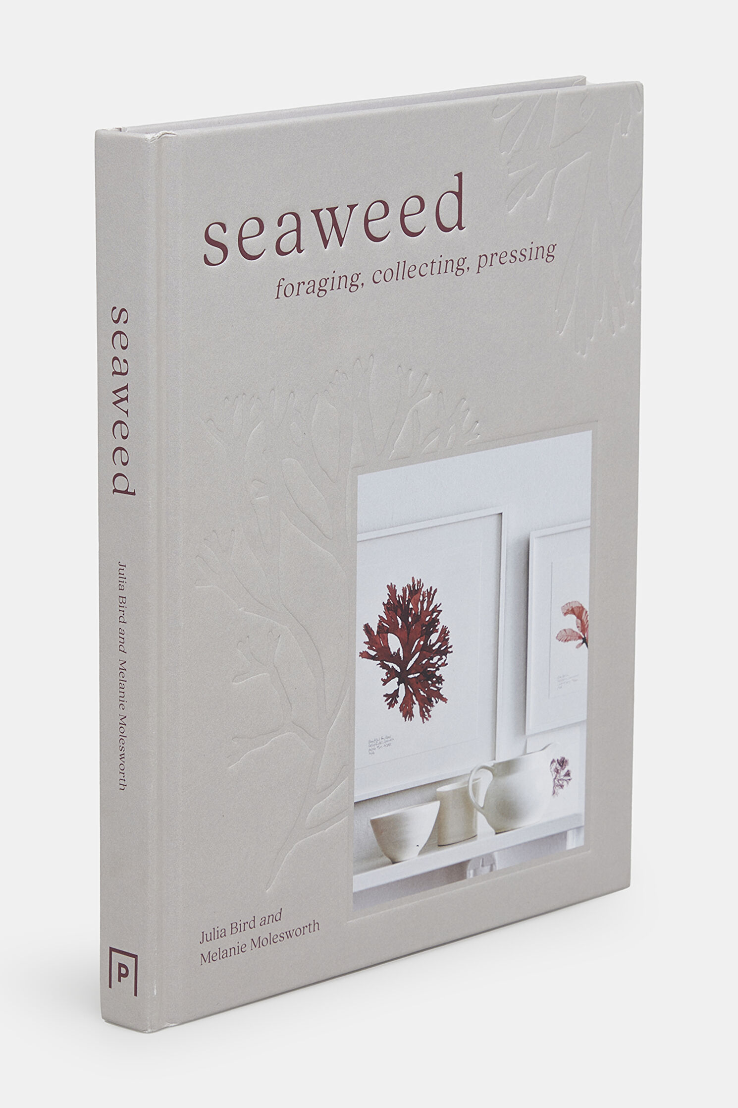 Pavılıon Books Seaweed : Foraging Collecting Pressing