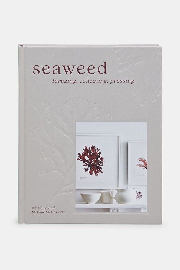 Pavılıon Books Seaweed : Foraging Collecting Pressing
