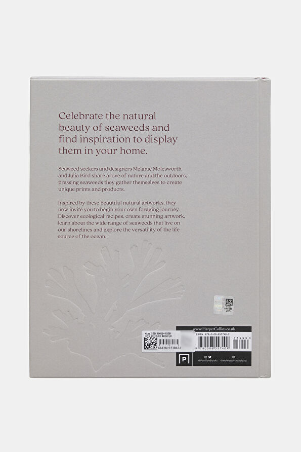 Pavılıon Books Seaweed : Foraging Collecting Pressing